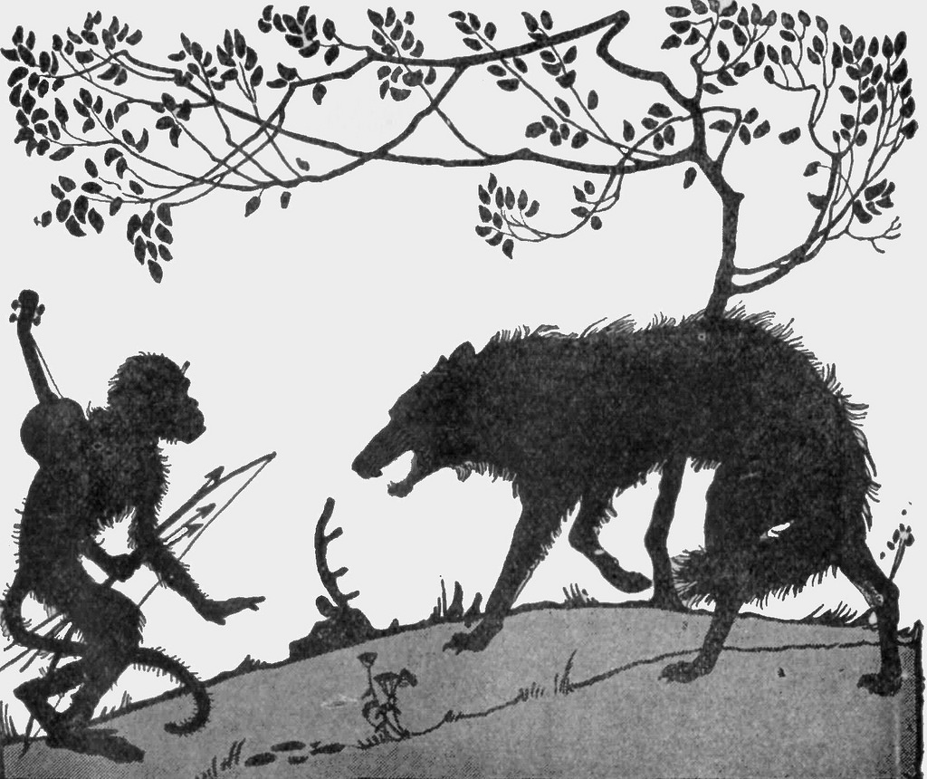 The Monkey's Fiddle - Sun Rose